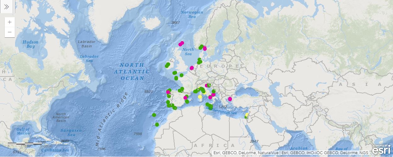The more,the merrier!: EU HFR node, In Situ TAC and EMODnet joint ...